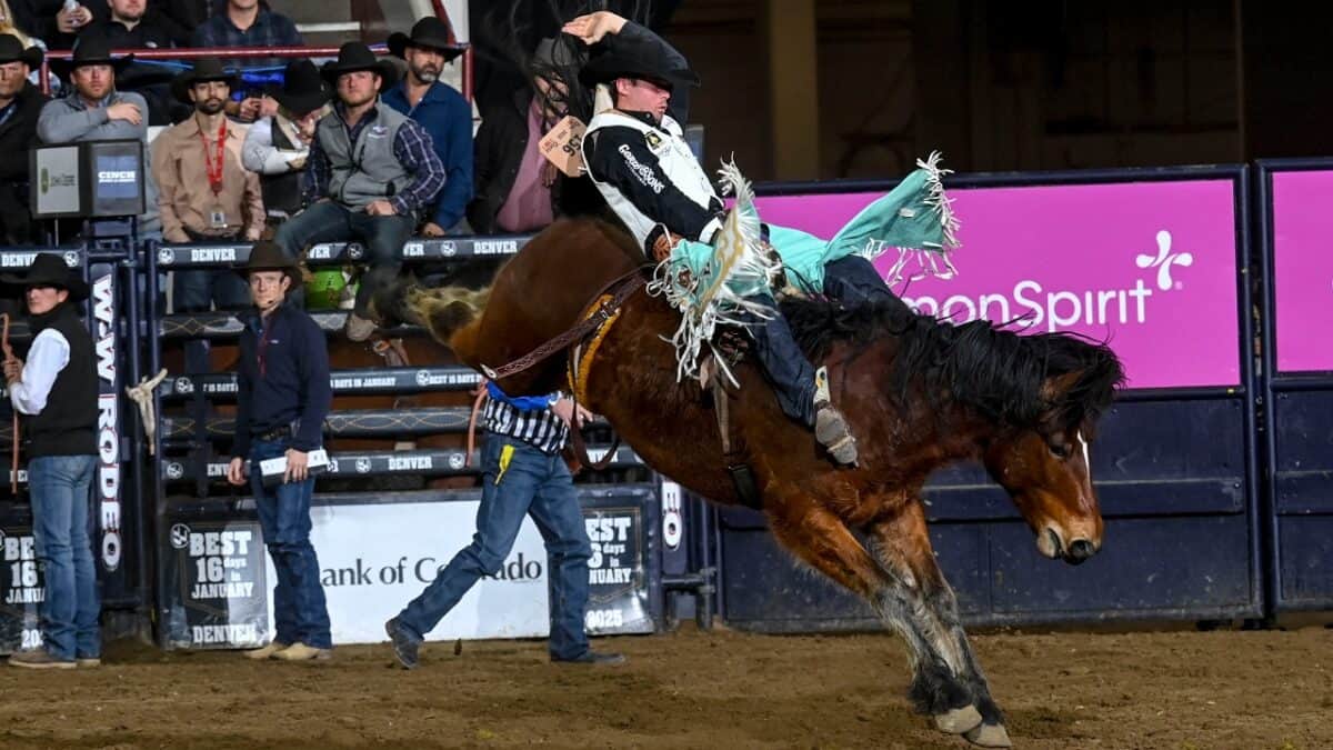 Monday Notebook: Denver, Odessa, and the 2025 Season So Far - US Cowboy