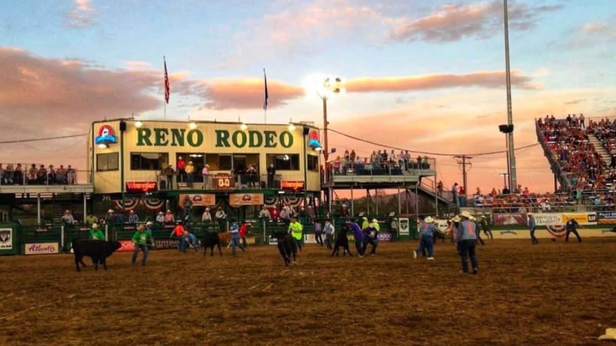 PRCA Archives - US Cowboy