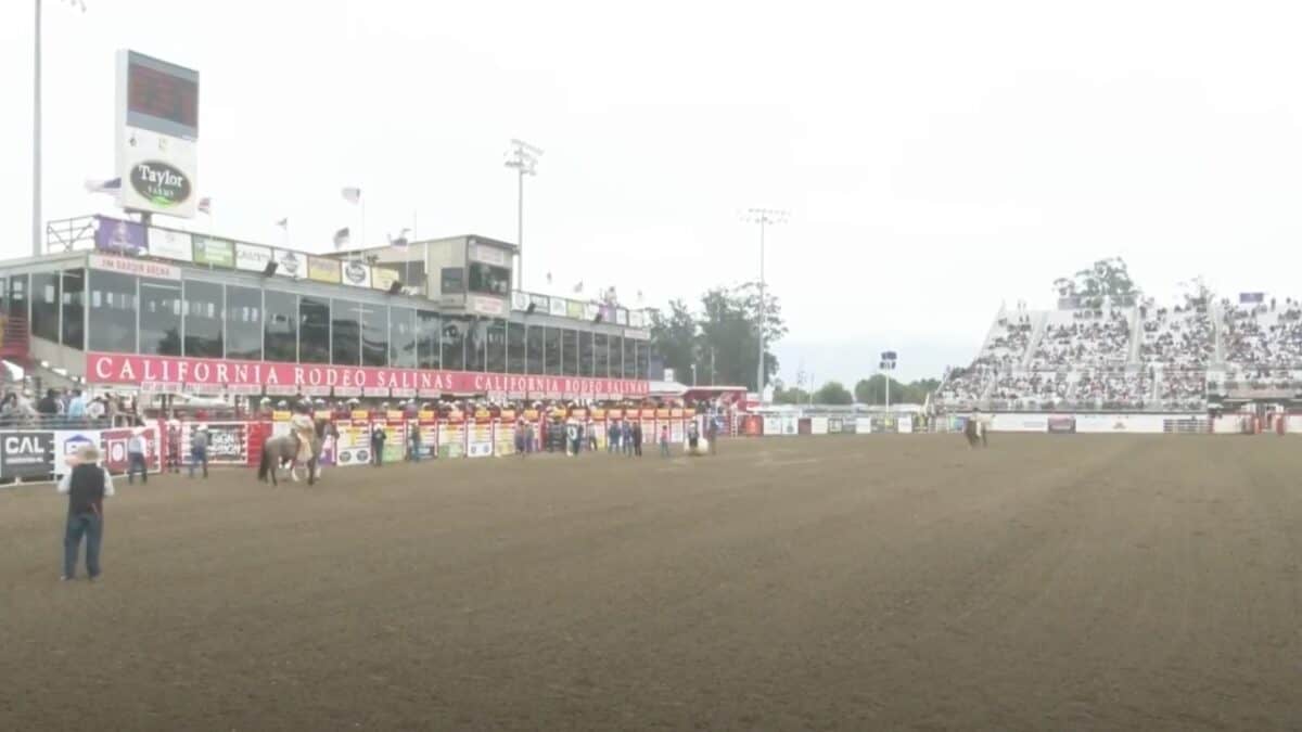 PRCA Archives - US Cowboy
