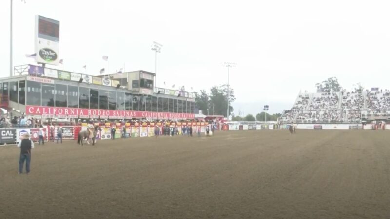 PRCA Archives - US Cowboy
