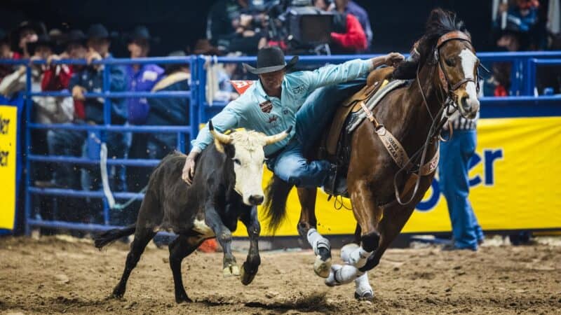 US Cowboy - US Cowboy