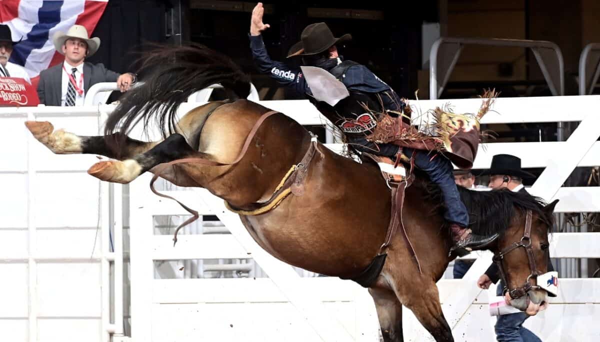 Fort Worth Stock Show and Rodeo Bracket 3 Recap: Beau Cooper, Wacey ...