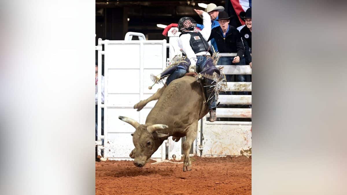 Colton Byram Claims Bulls Night Out, Stetson Wright Also Shines