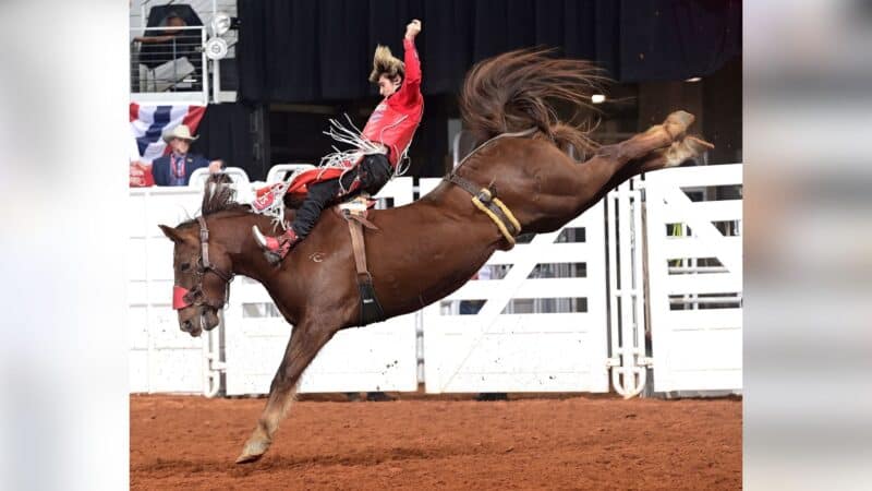 Fort Worth Stock Show and Rodeo Bracket 6 Recap: World Champions Rocker ...